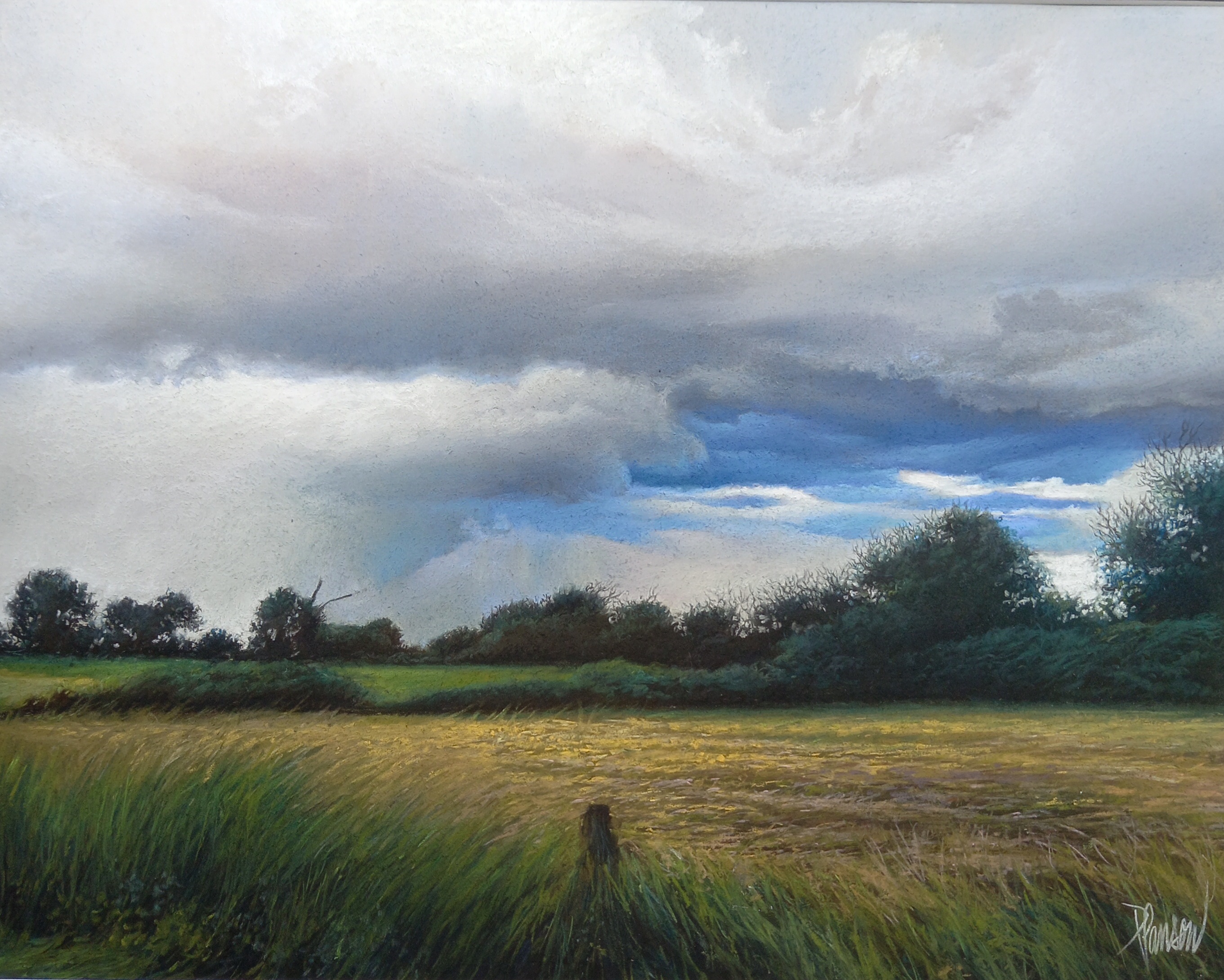 Le ciel vu de la Terre – NICOLAS PLANSON – ARTISTE PEINTRE ANIMALIER ...